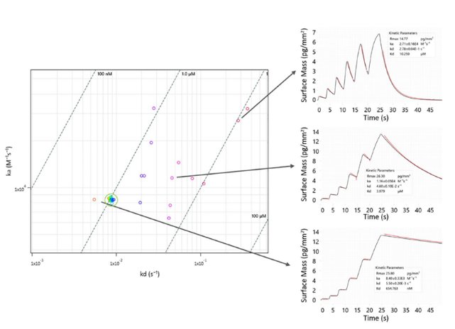 【热门应用】WAVE在本届生物物理大会掀起GCI技术“热浪”_马尔文帕纳科